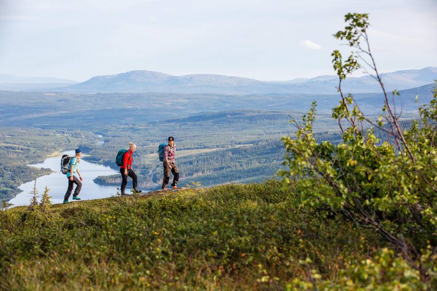 From train to the trail – accessible hiking in Sweden – Anthony Norman