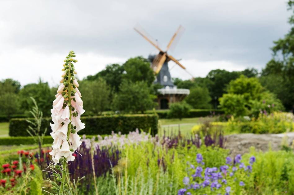 Parks in Malmö: Natur mitten in der Stadt | Visit Sweden