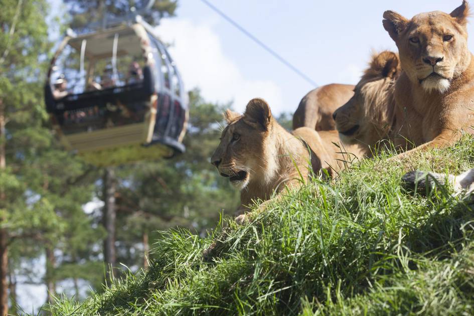 Les zoos en Suède | Visit Sweden