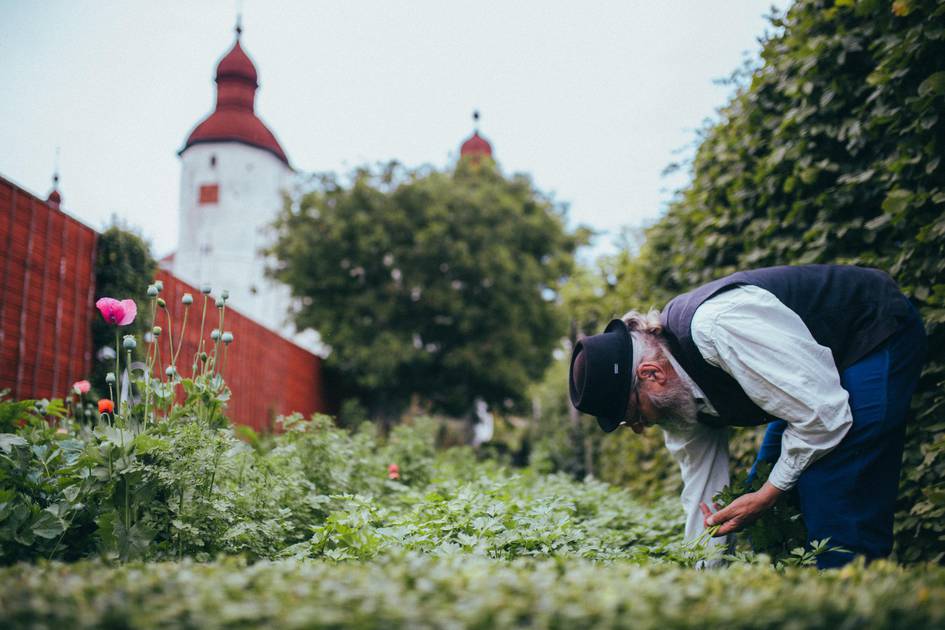 Sweden’s fine gardens combine botany and cultural interest | Visit Sweden