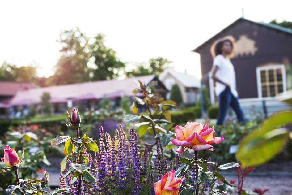 Sweden’s city parks combine nature and culture | Visit Sweden