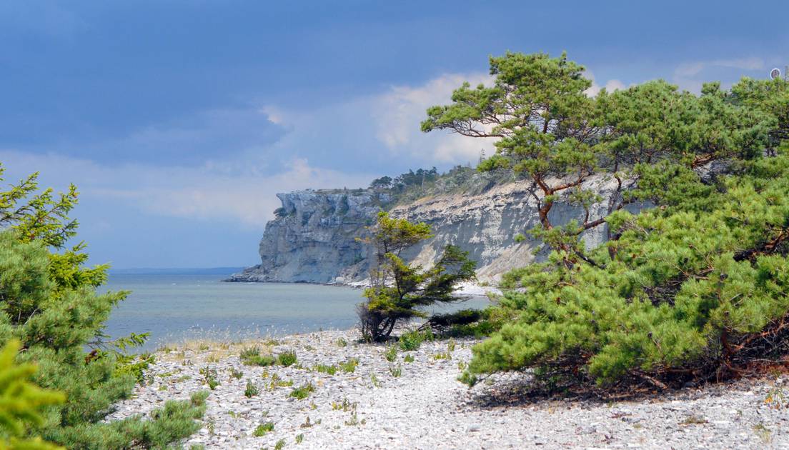 Gotland has stunning nature and remarkable medieval history | Visit Sweden